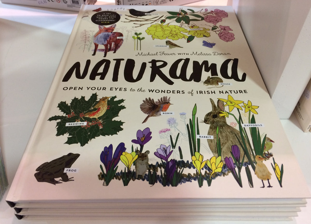 Irish Authors & Illustrators – National Gallery of Ireland Shop