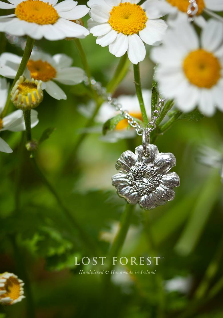 The Fairy of Midsummer-Silver Daisy Necklace – National Gallery of ...