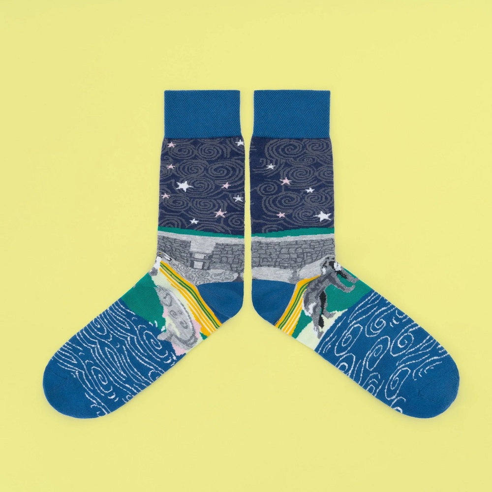 Ancient East Socks – National Gallery of Ireland Shop